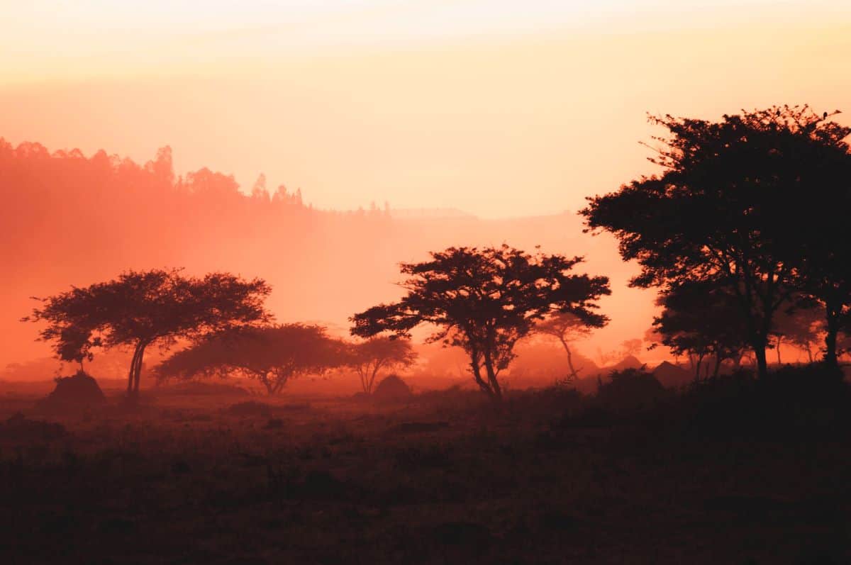 Quand partir au Rwanda | Quel est le meilleur mois