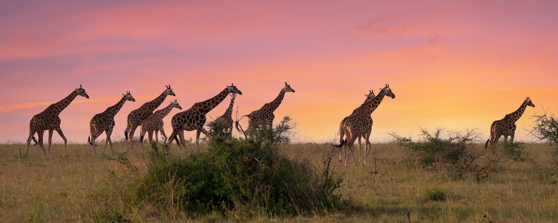 Best Things To Do in Uganda | Parks & Activities [2025]