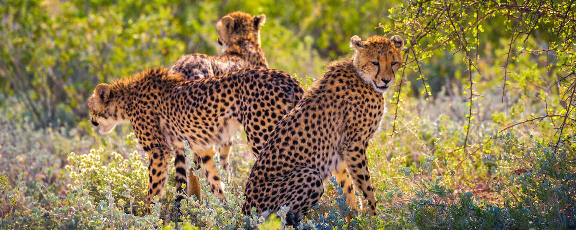 Best time to visit Namibia | Months, weather, prices [2025]