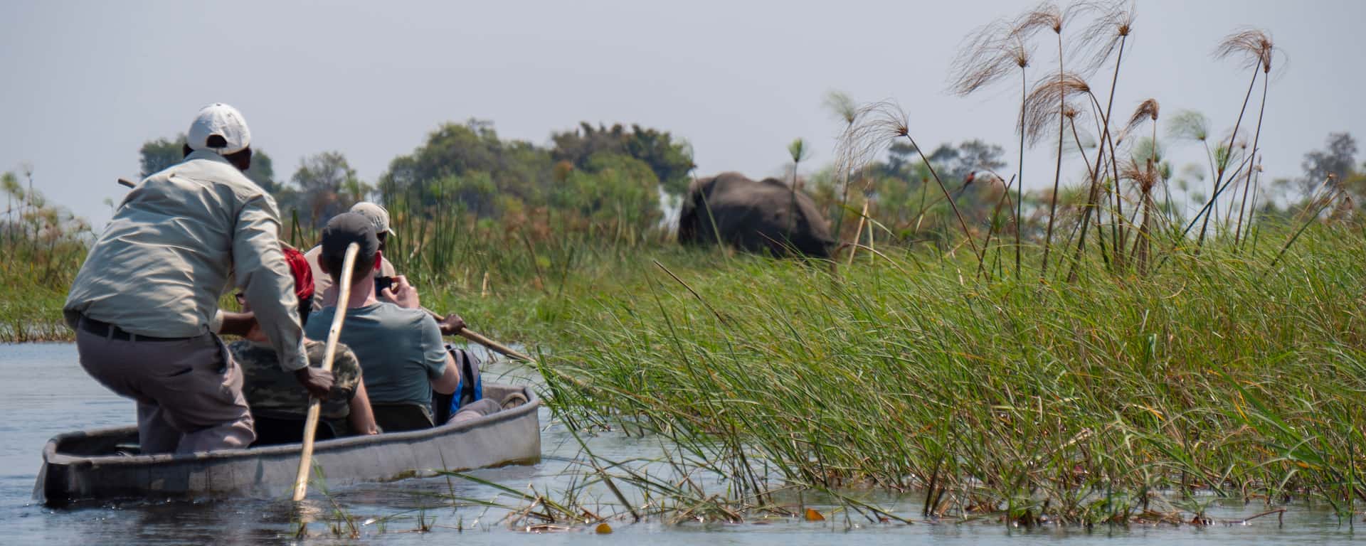 20 Best Things To Do in Botswana | Parks & Activities [2024]