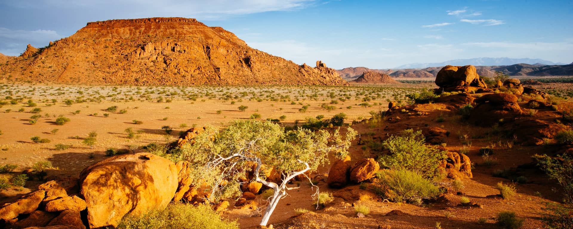 Damaraland Safari: Prices, Best time, Entrance Fees [2025]